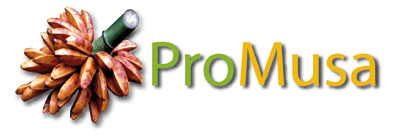 ProMusa - Musanet.org